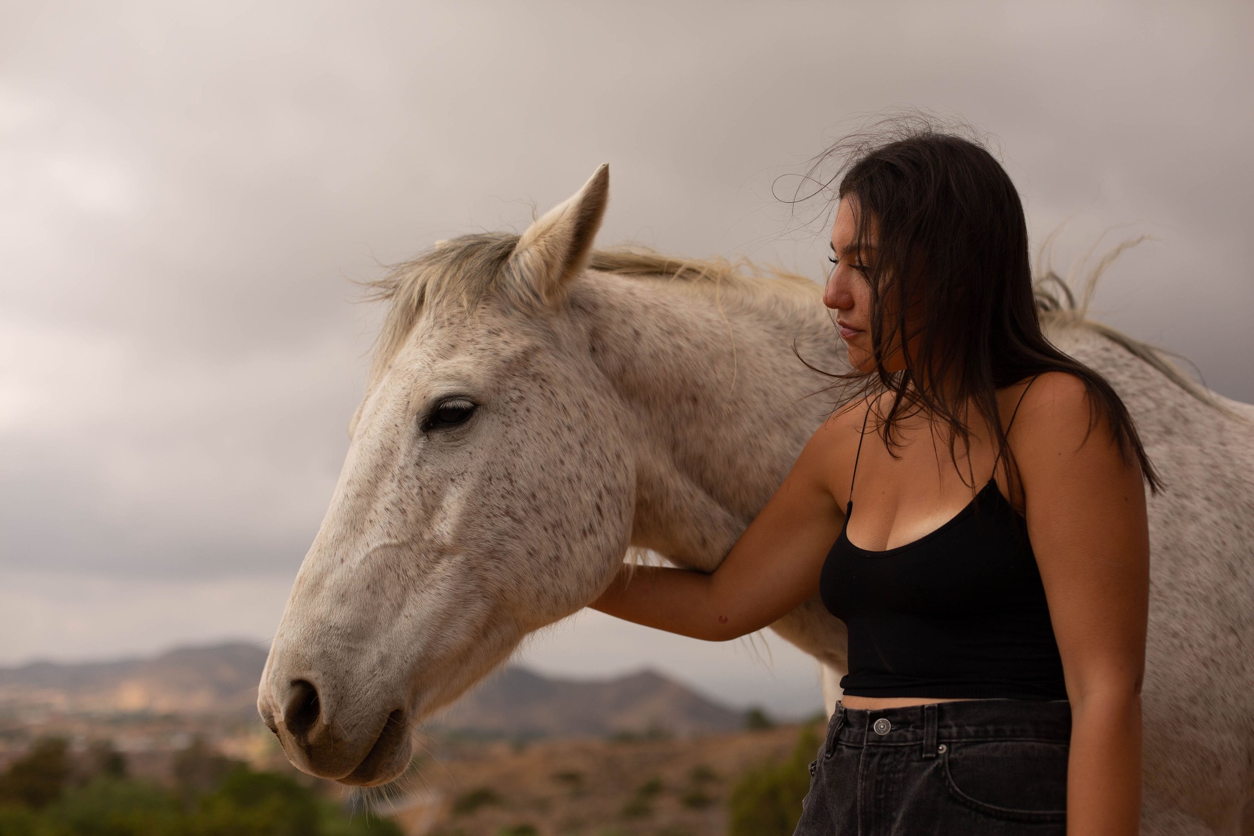 Our Mission — Press Paws Ranch Retreat