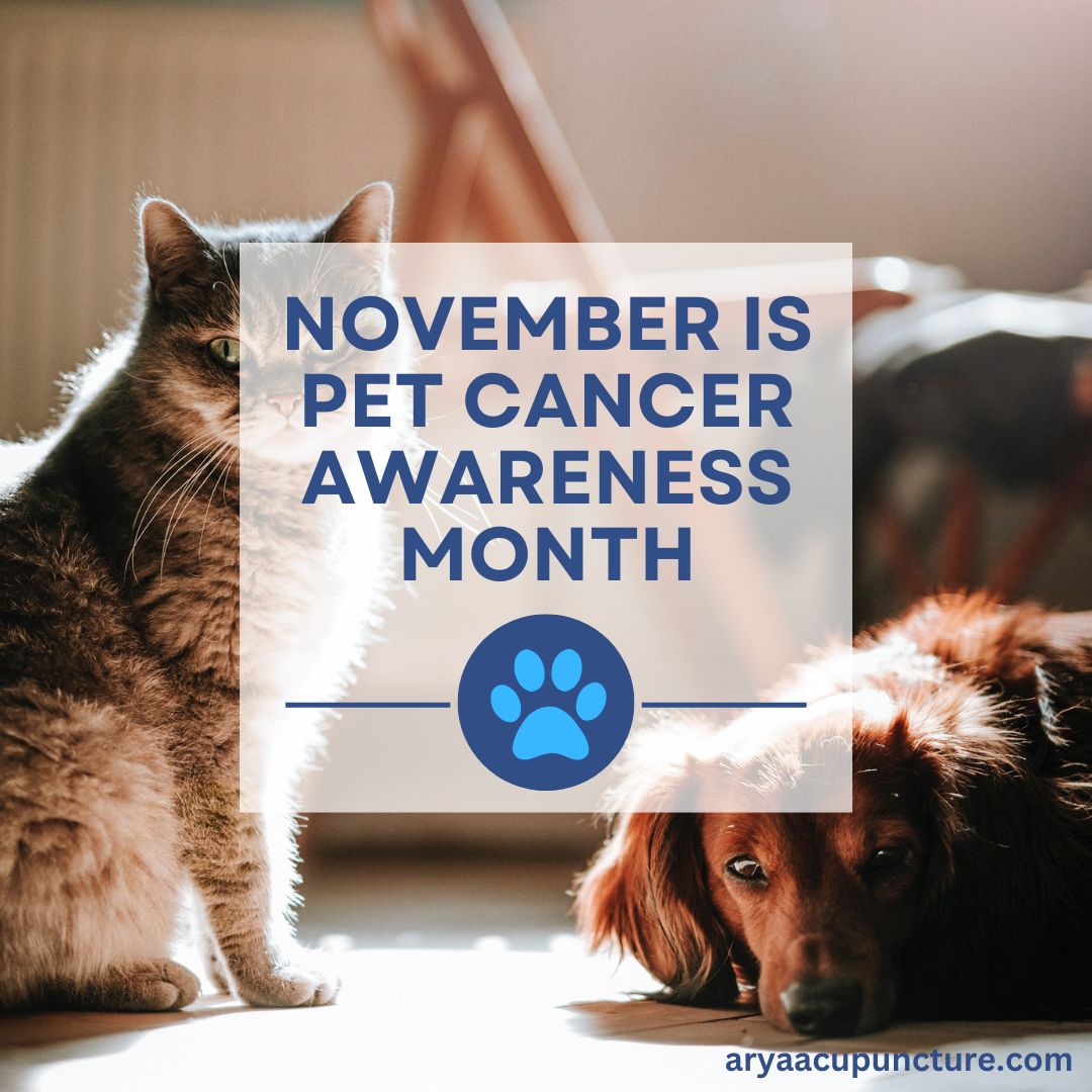 November Is Pet Cancer Awareness Month — Bhatt Integrative Veterinary ...