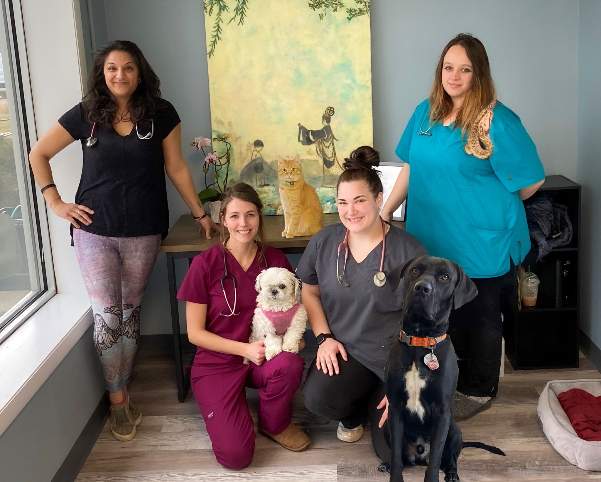 Arya Animal Acupuncture - Specialty Integrative Veterinary Medicine