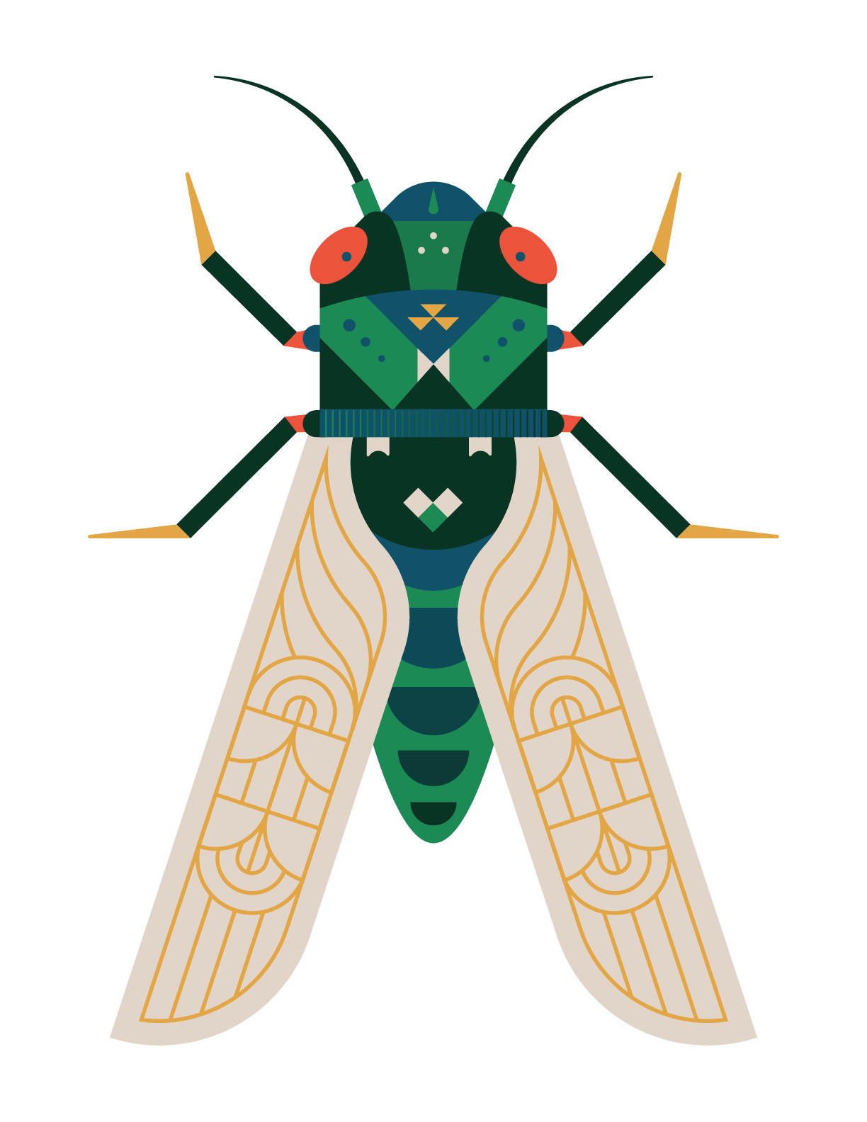 17-Year Cicada — Kim Lawler