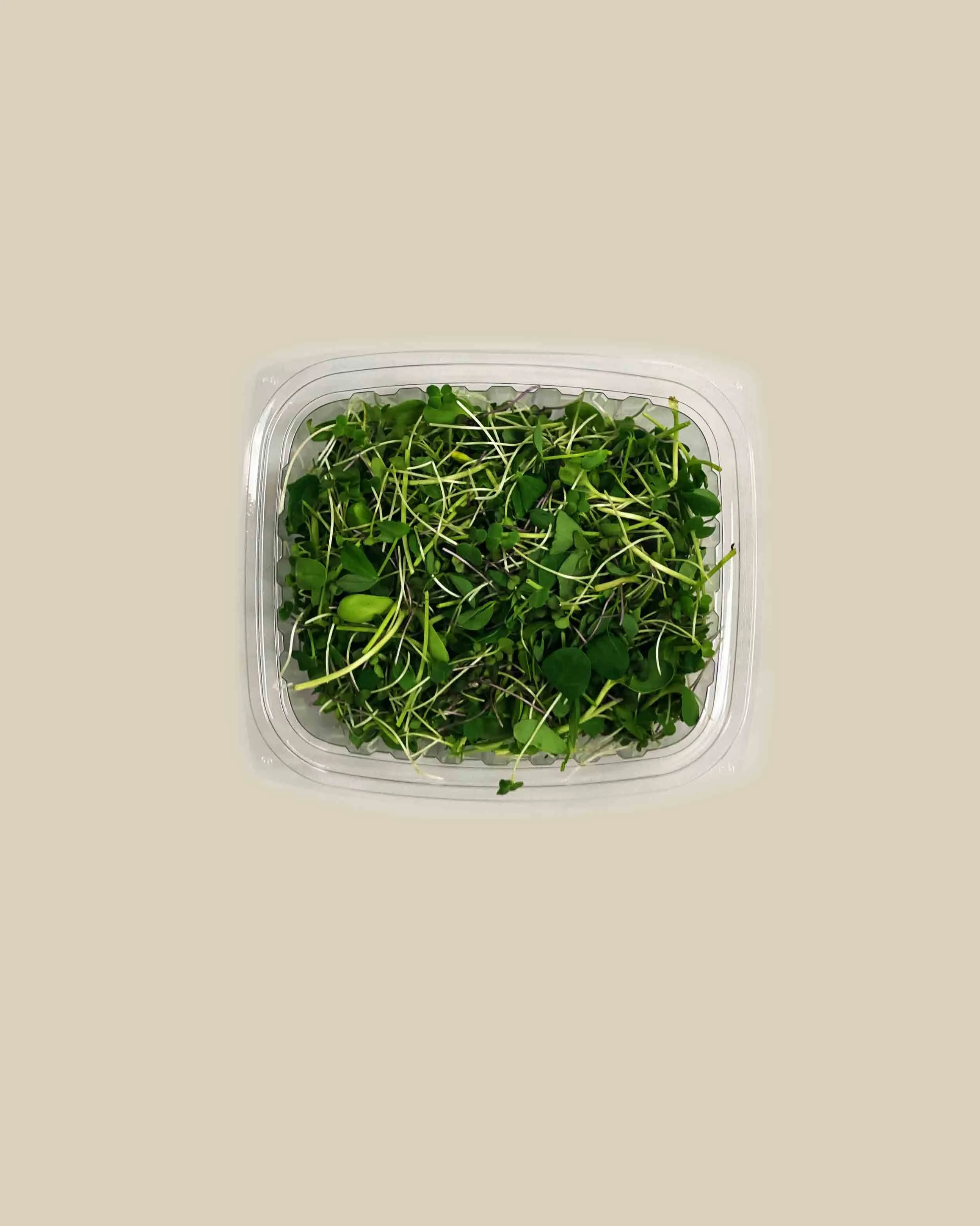 Shop Our Microgreen Products | Forest City Microgreens