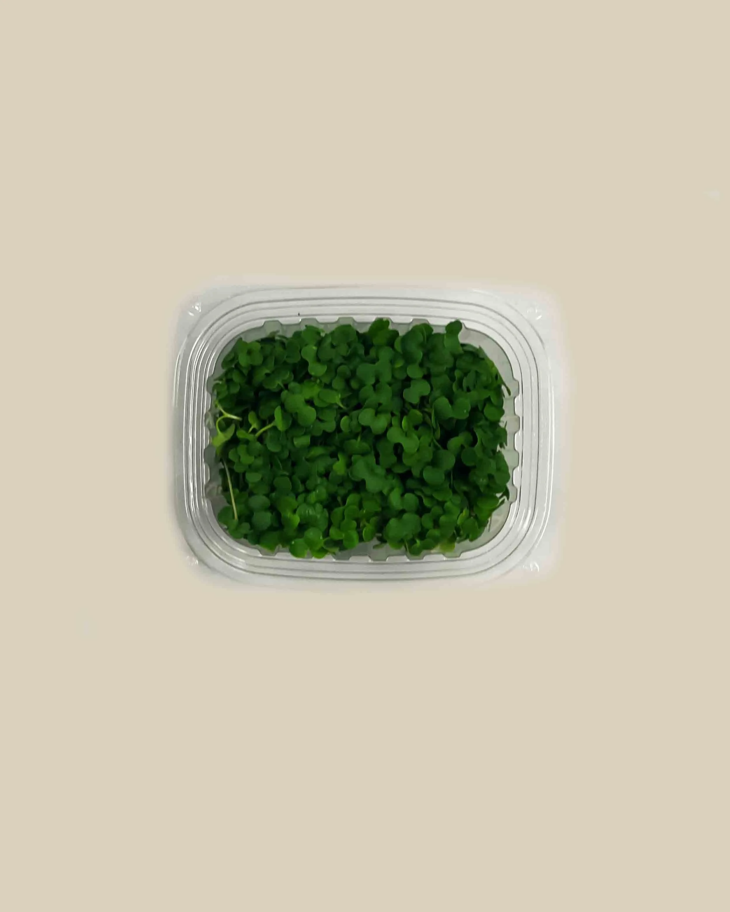 Shop Our Microgreen Products | Forest City Microgreens