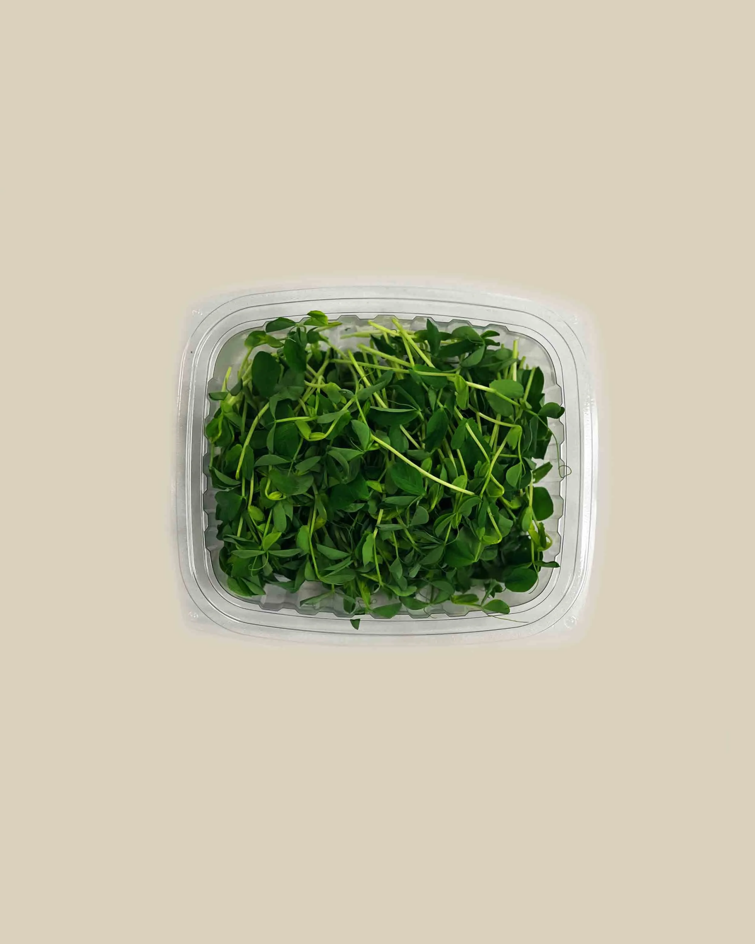 Shop Our Microgreen Products | Forest City Microgreens
