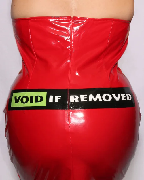 Extreme Cash Dress — Laura Plad: Fine Artist & Fashion Designer
