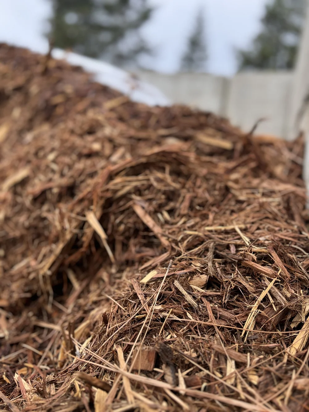 Western Red Cedar Bark — Turner Excavating, Inc