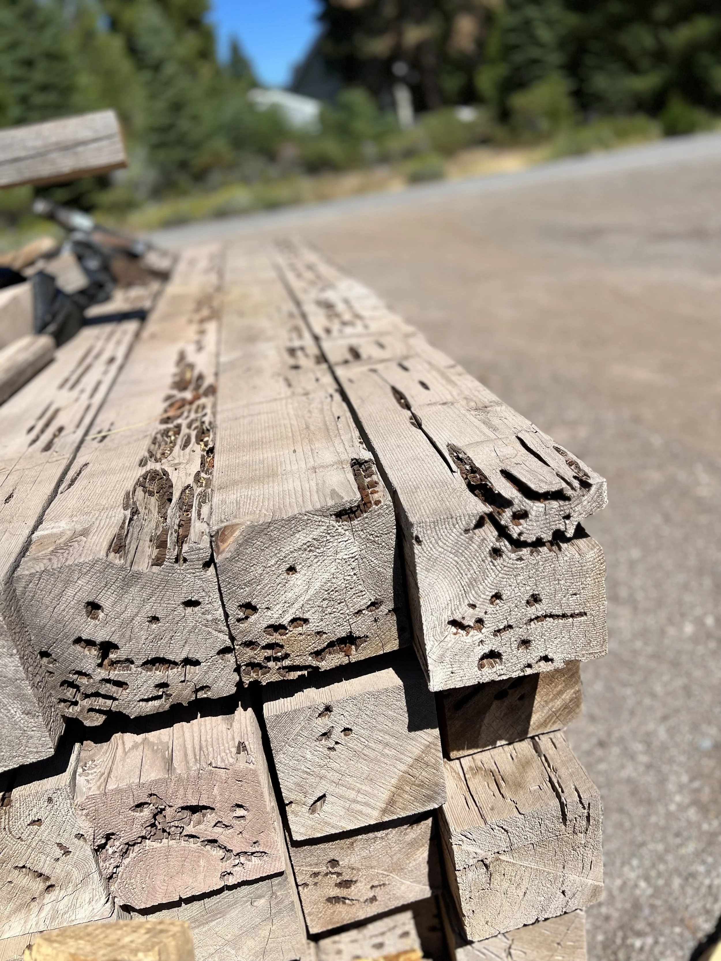 Pecky Cedar Post — Turner Excavating, Inc