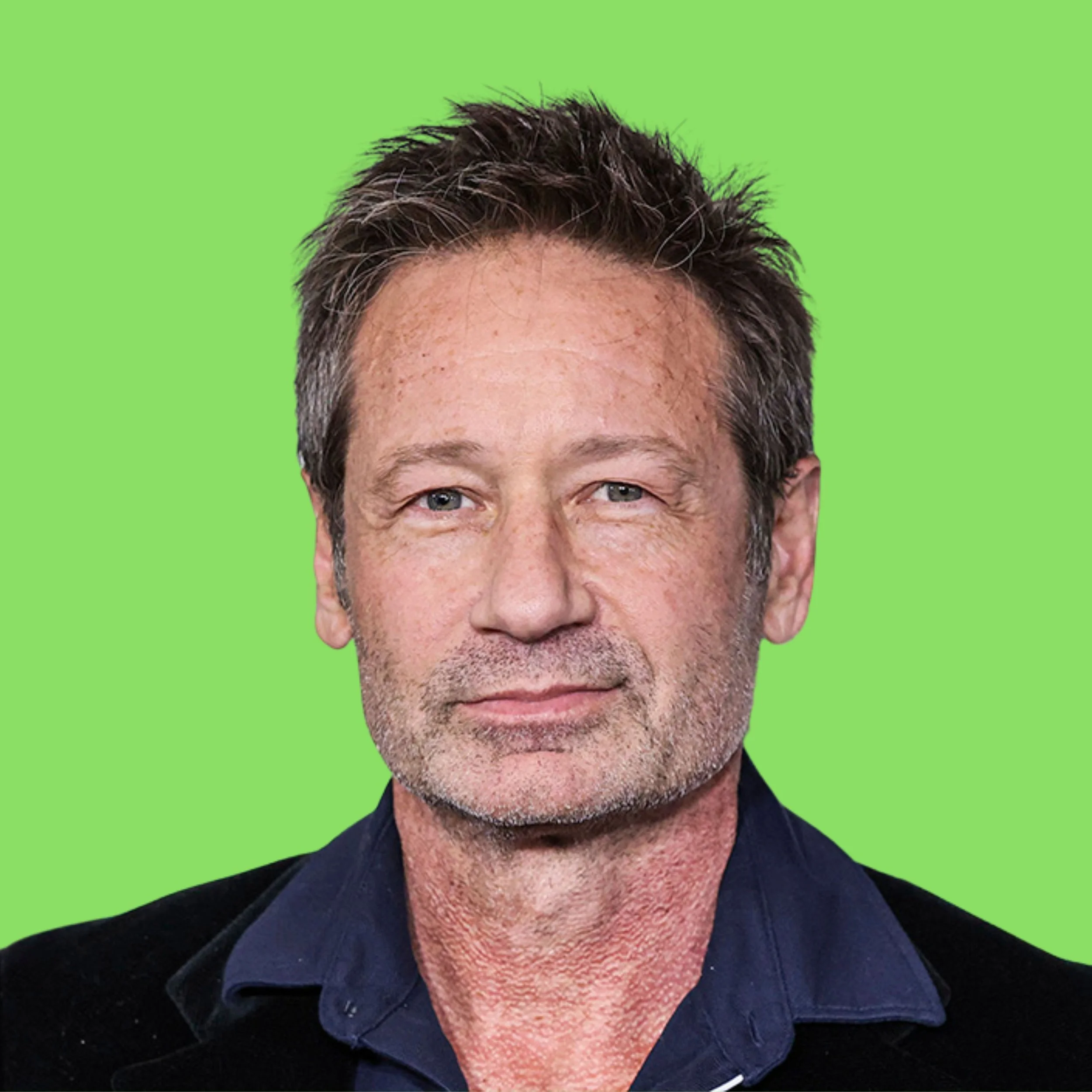 David Duchovny: His Journey from PhD Student to The X-Files, Why He ...
