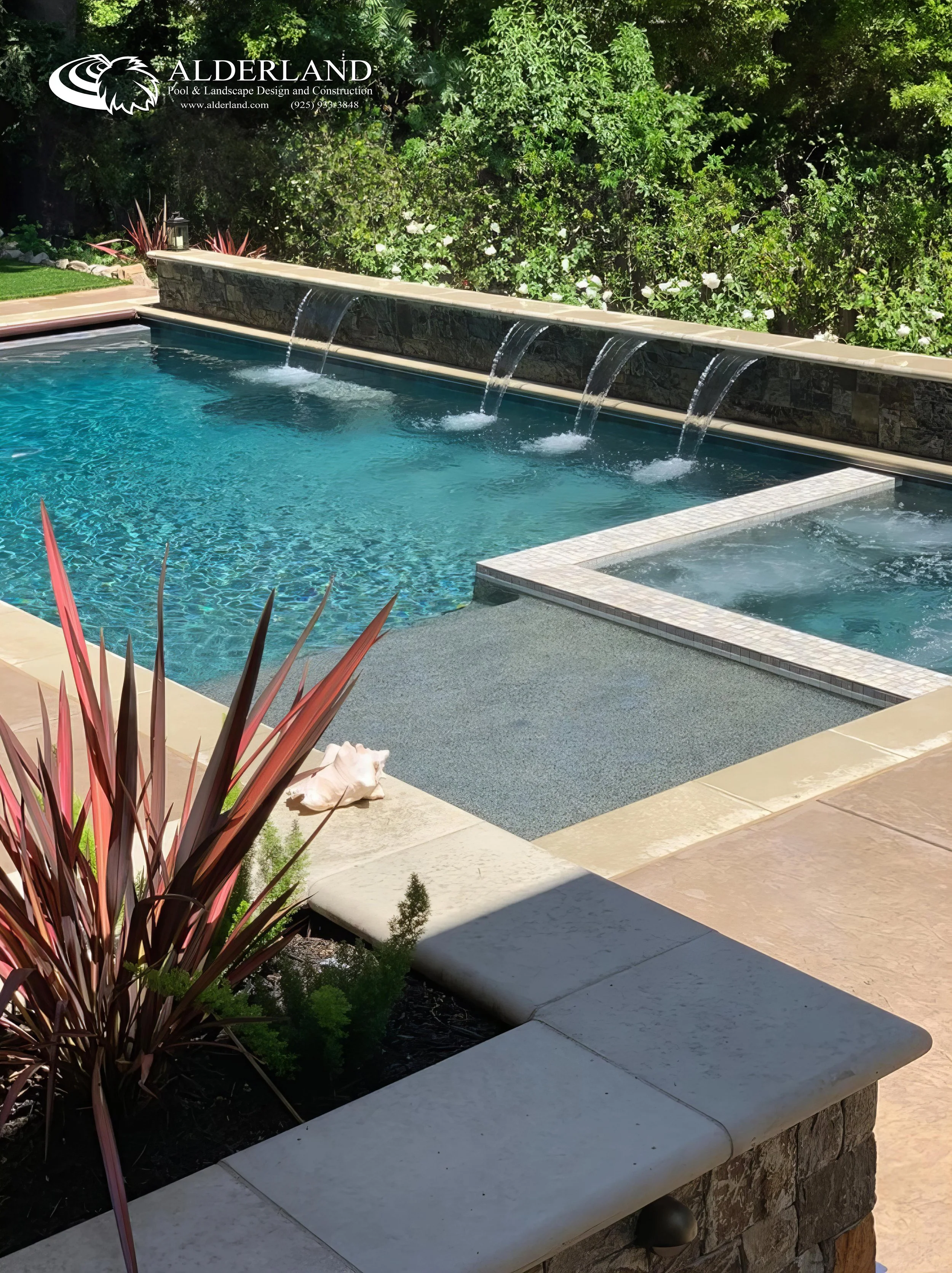 The Best Plants for Your Water Feature Landscapes | Alderland