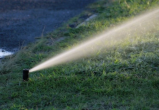 Understanding the Basics of Landscape Irrigation Systems Before ...