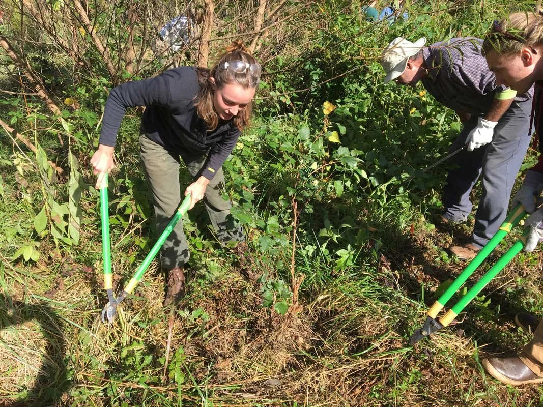 Native Tree Nursery — Asheville GreenWorks