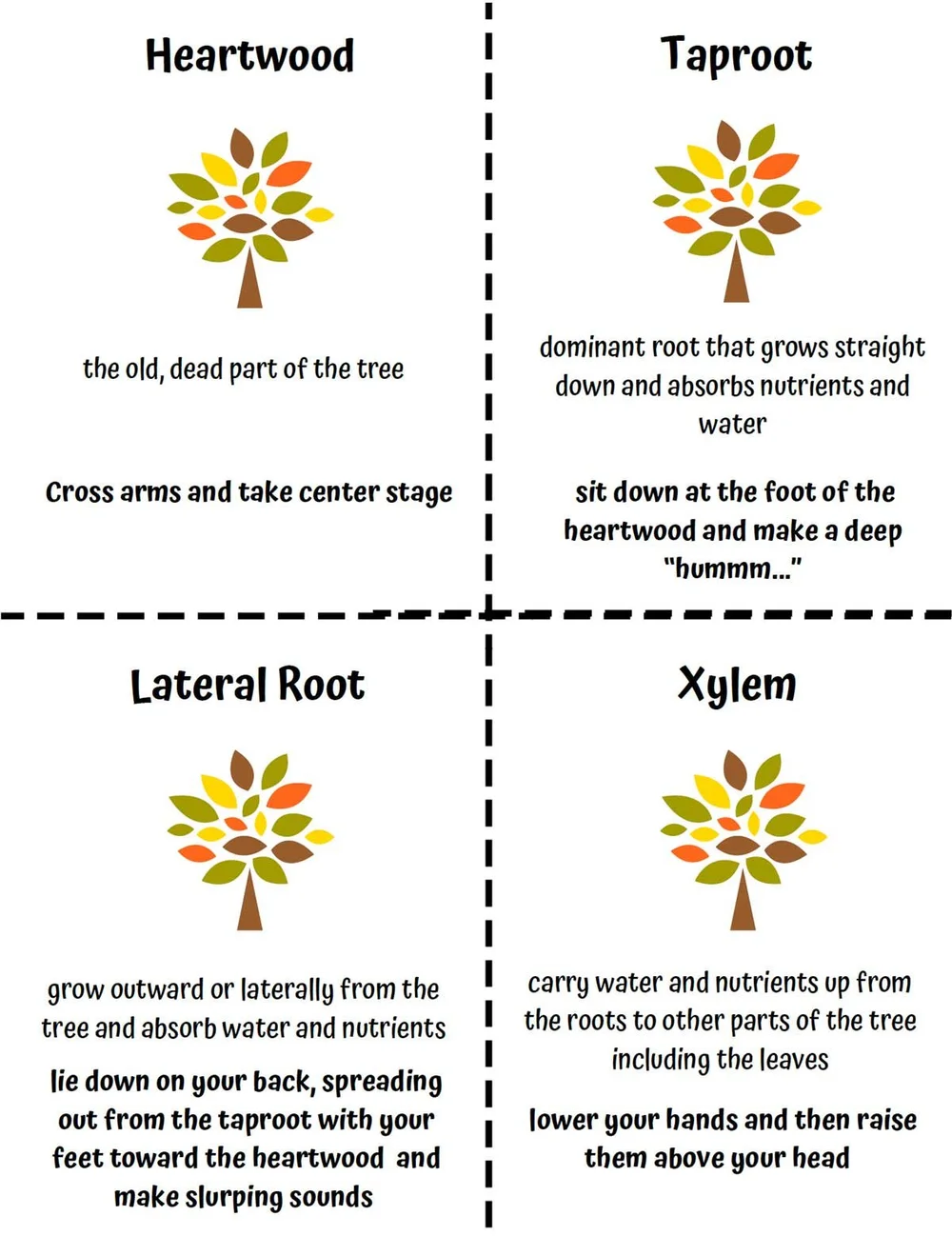 Urban Forestry - Protect Our Trees — Asheville GreenWorks