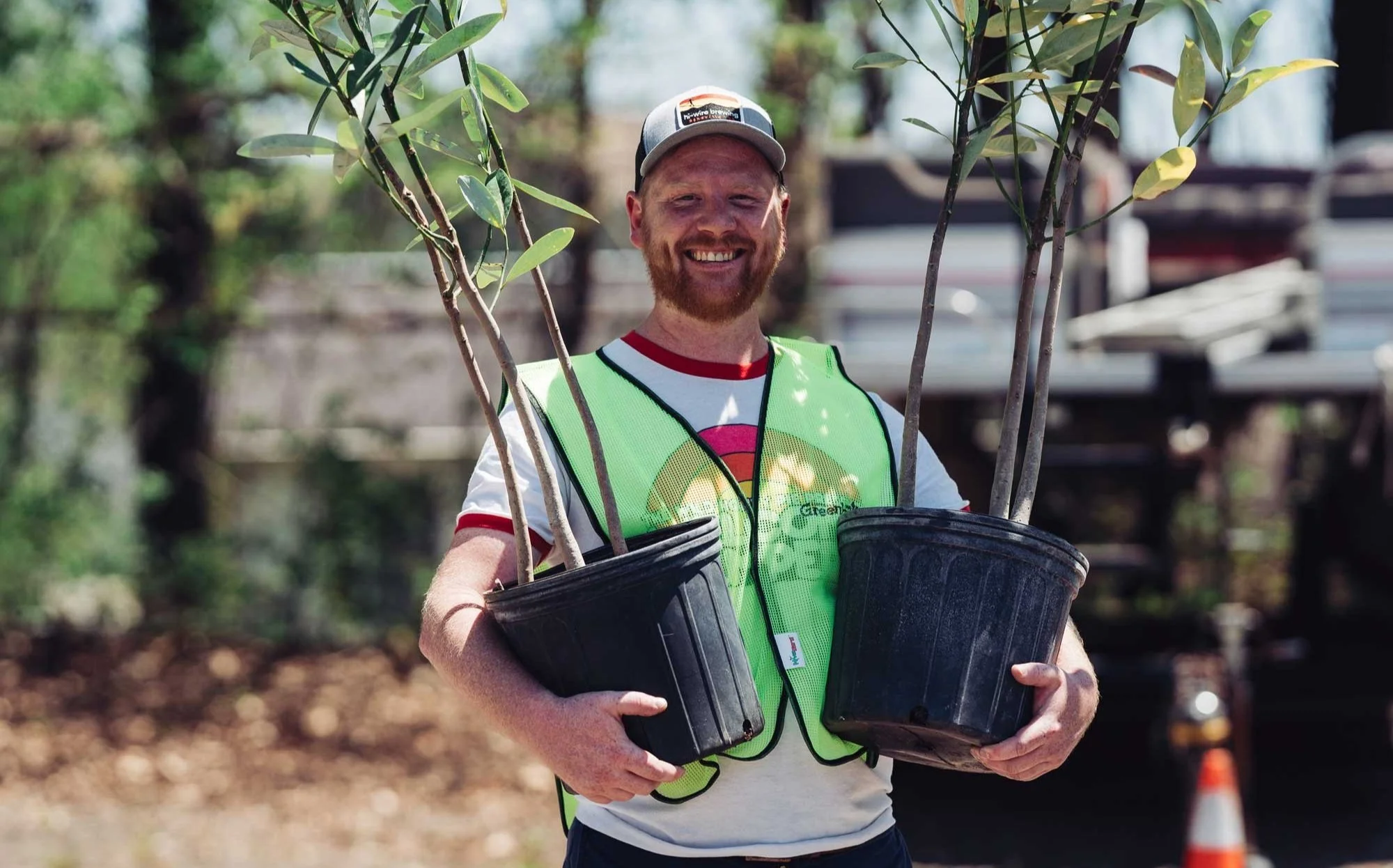 Urban Forestry - Protect Our Trees — Asheville GreenWorks