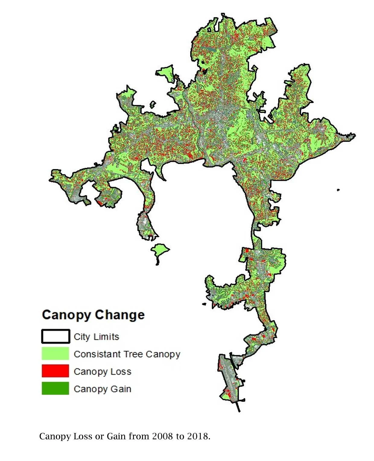 Urban Forestry - Protect Our Trees — Asheville GreenWorks