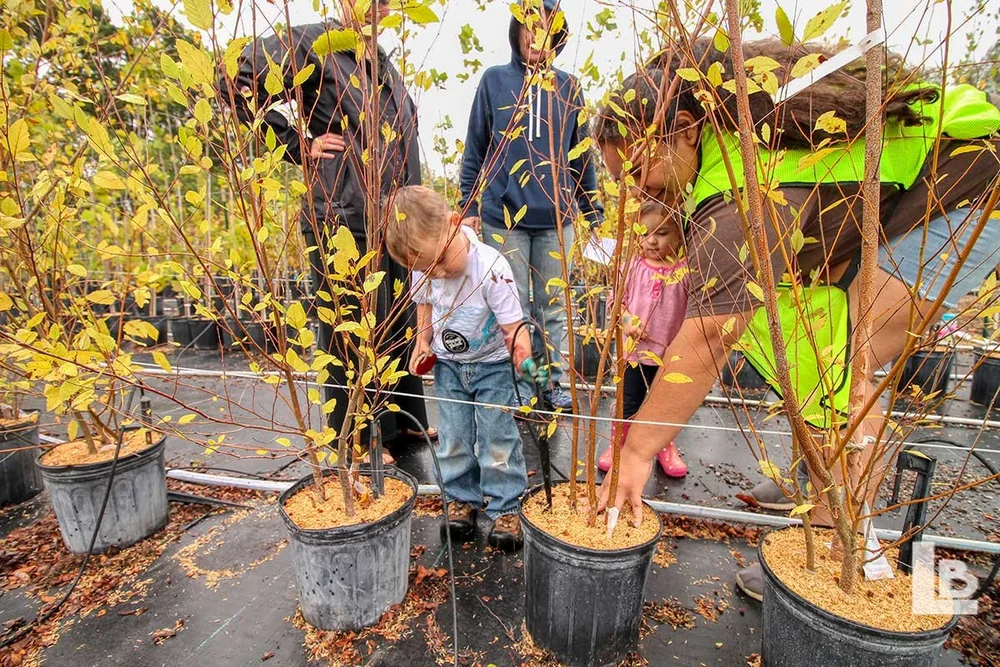 Reforesting WNC — Asheville GreenWorks