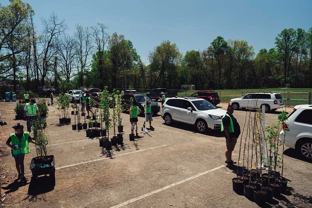 Urban Forestry — Asheville GreenWorks