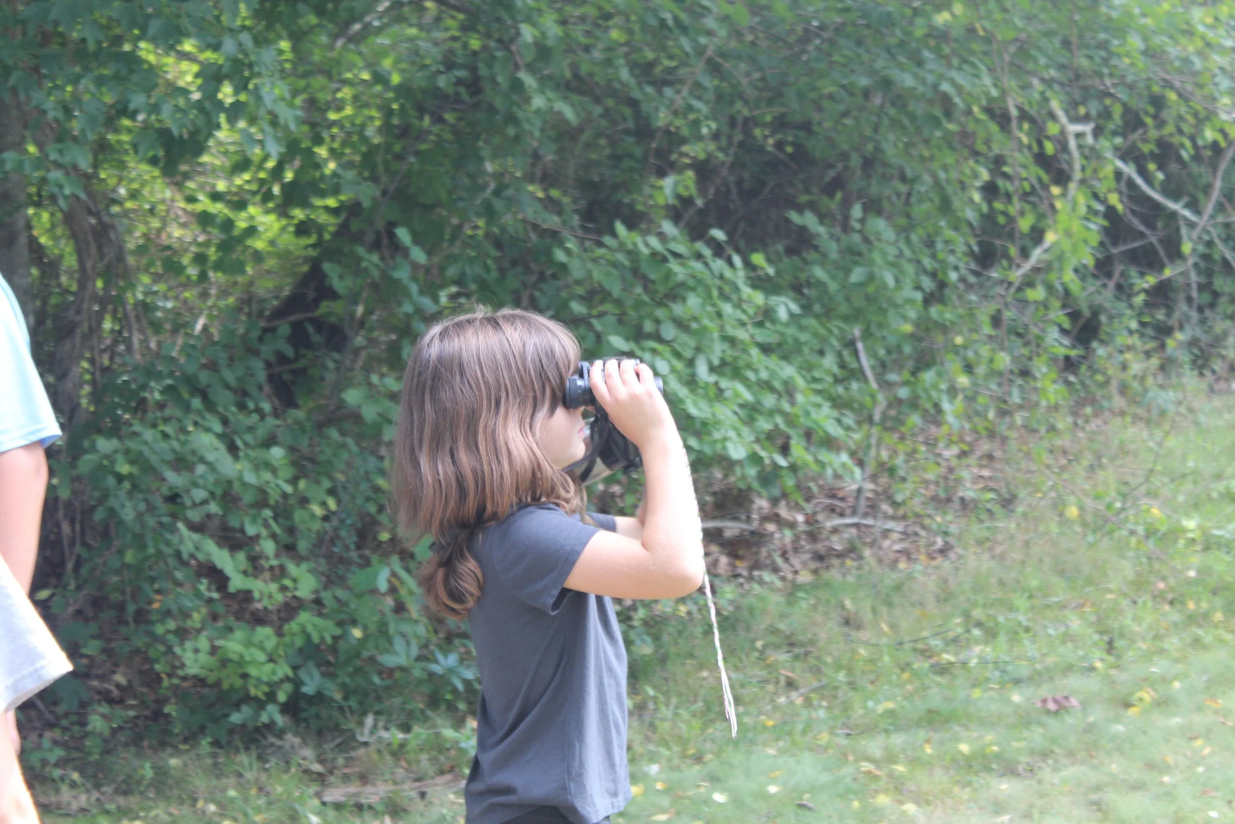 One Week Starter Session — campfuller