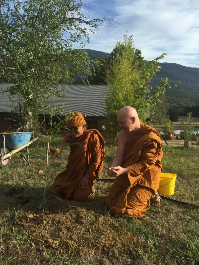 Gallery — Buddha Bodhivana Monastery - A Buddhist Monastery in the ...