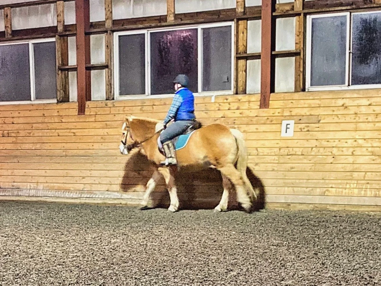 Horses for Lease — Twin Ridge Farm