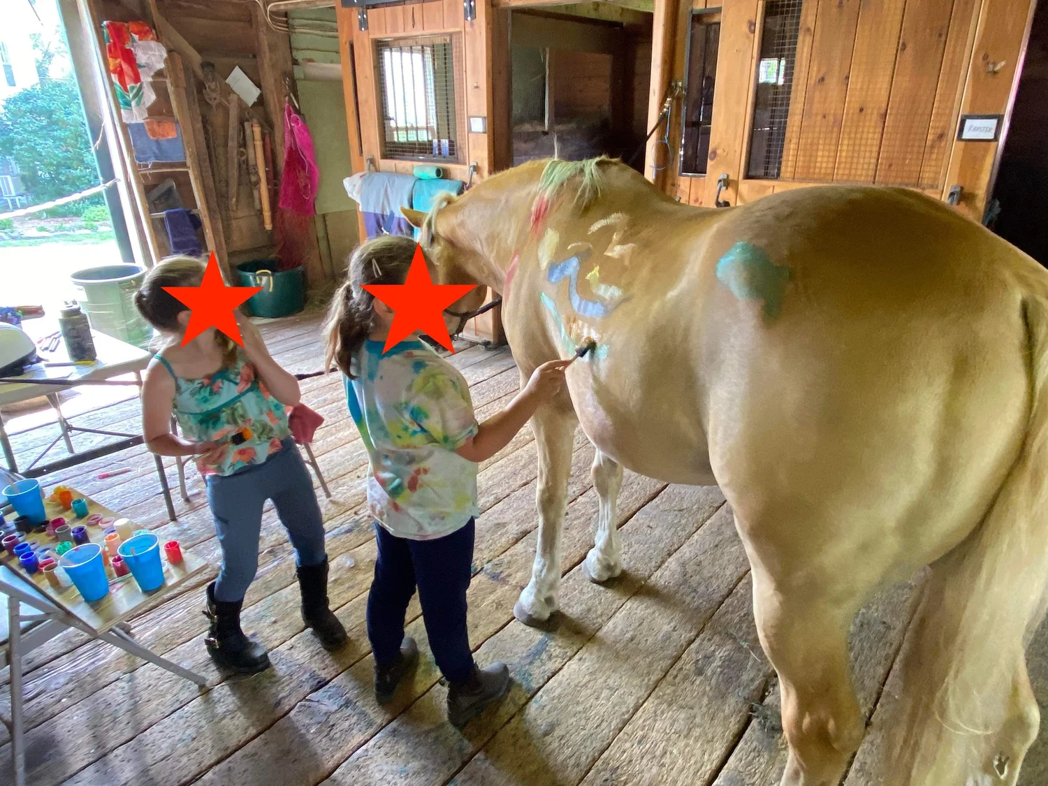 Lesson Horses — Twin Ridge Farm