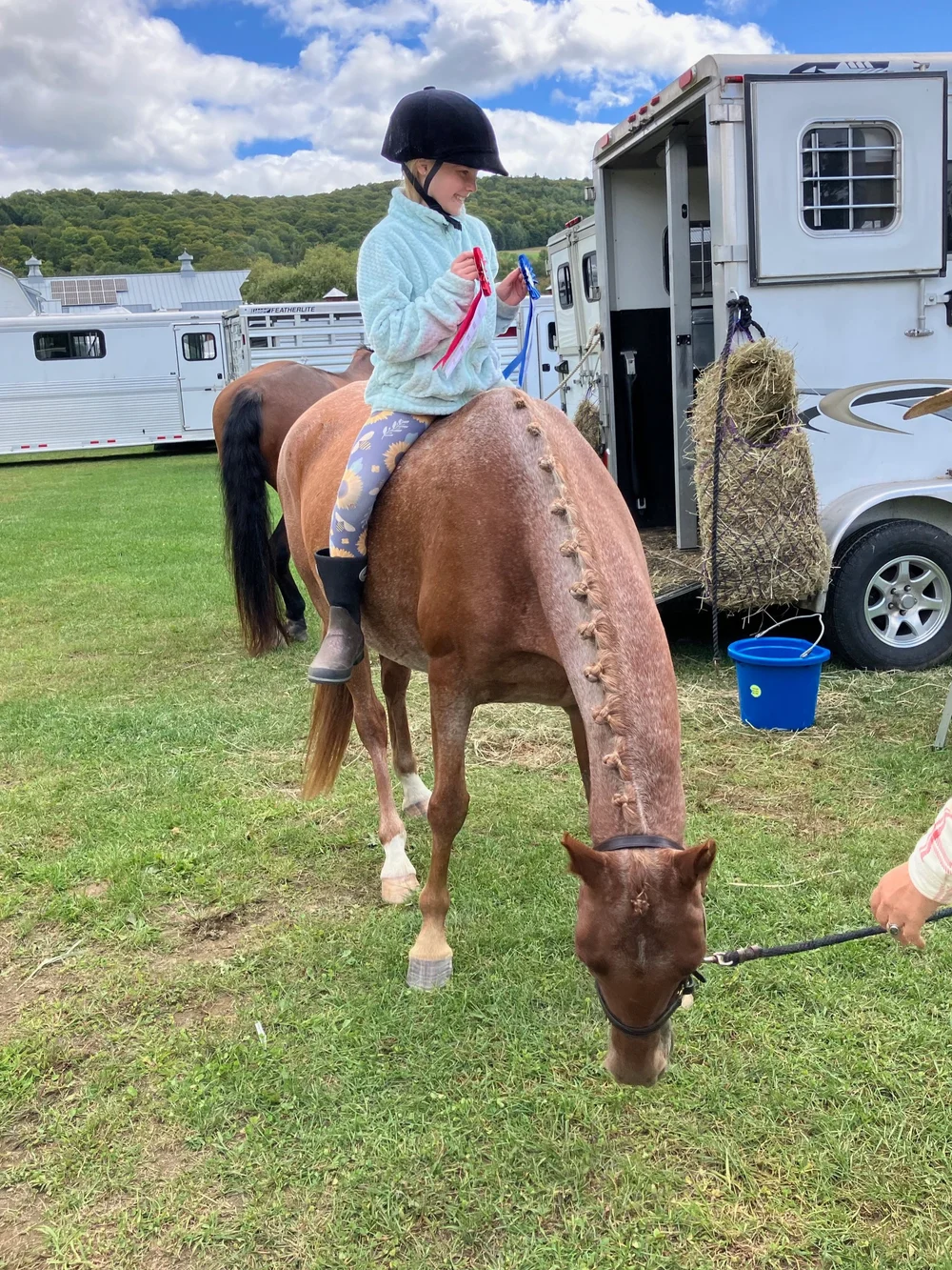 Horses for Lease — Twin Ridge Farm