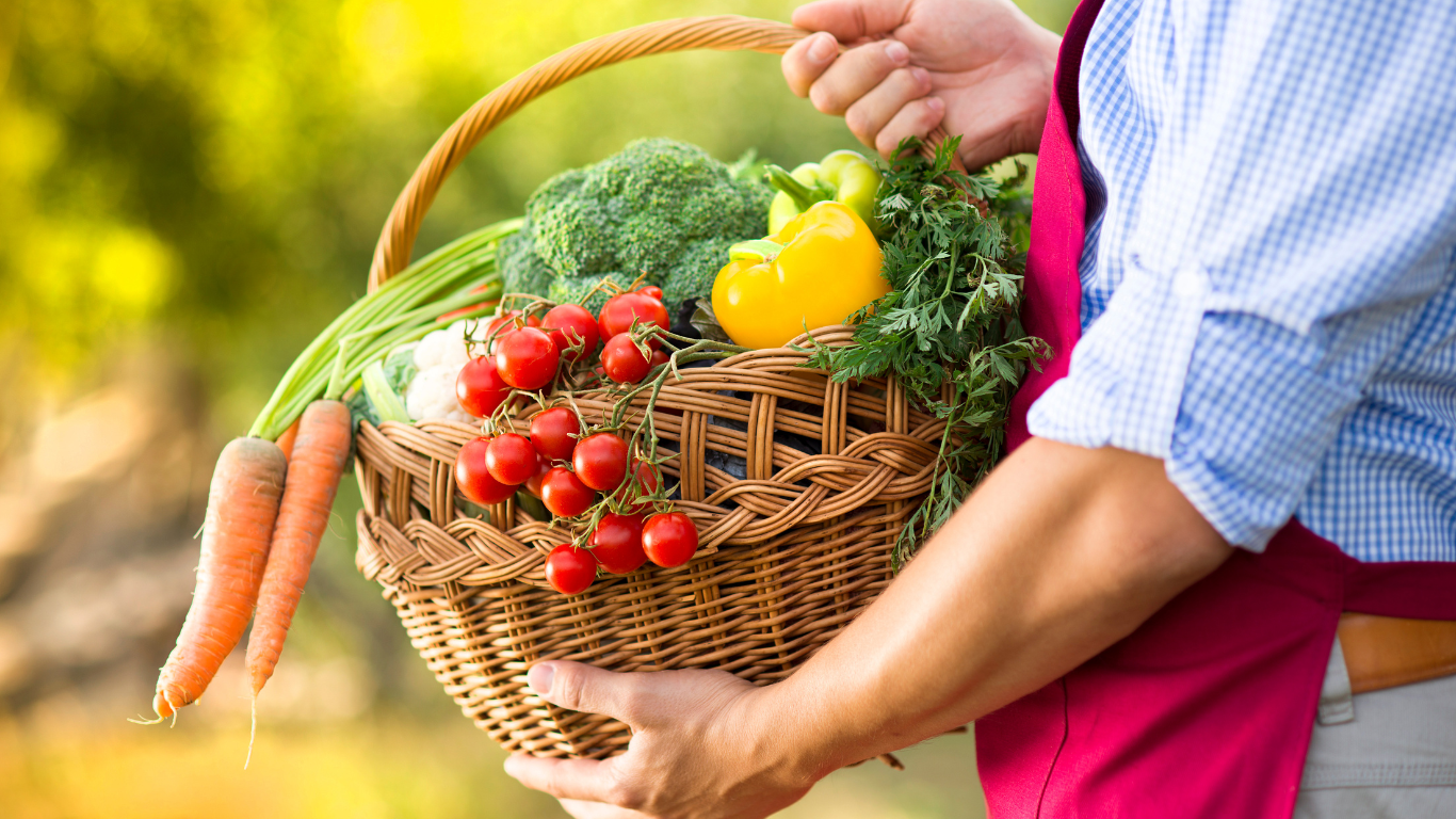 Create a self sufficient backyard — Michelle Leanne HOME