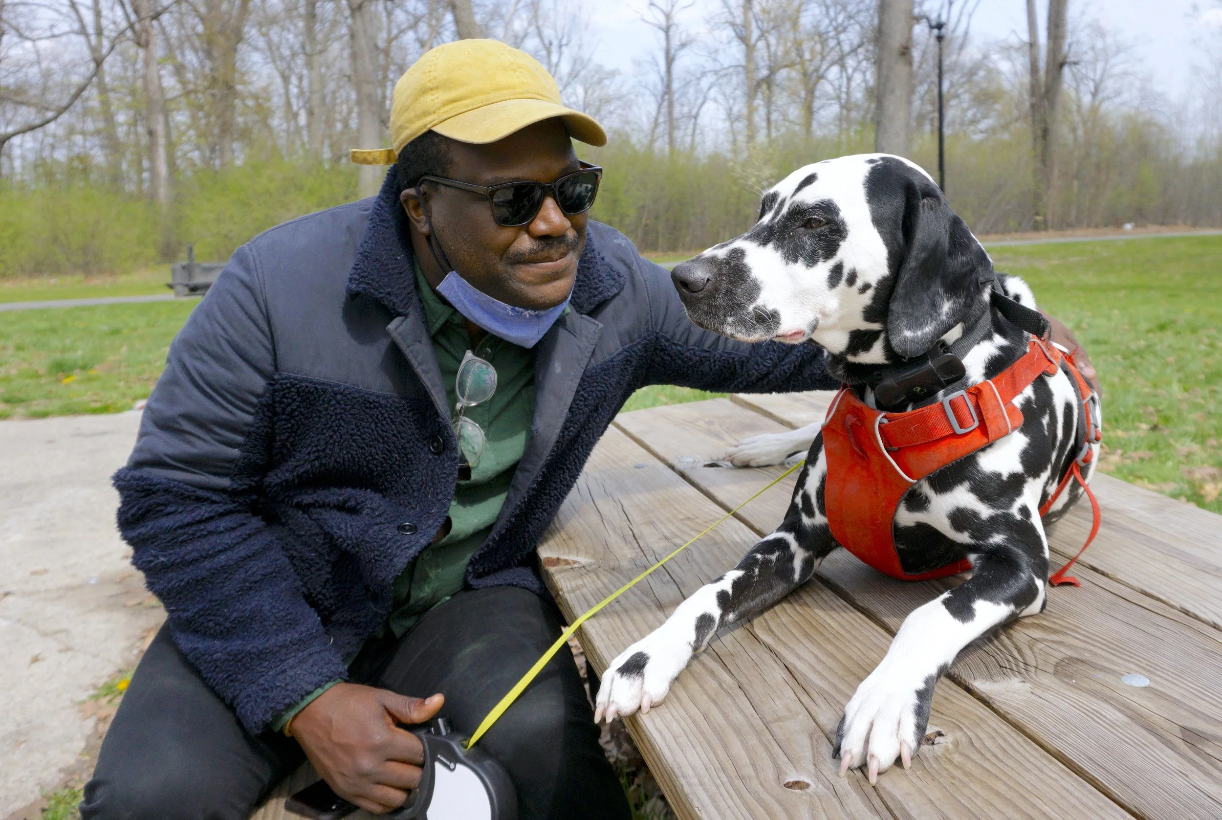 PalmerPark Unleashed-Detroit Dog Park