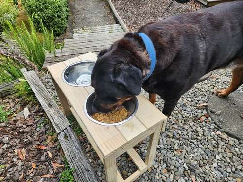 Cambio NZ Mud Kitchens