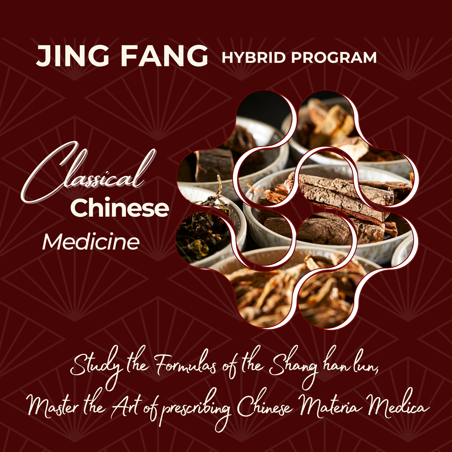 Jing Fang Course - Study Classical Chinese Herbal Medicine