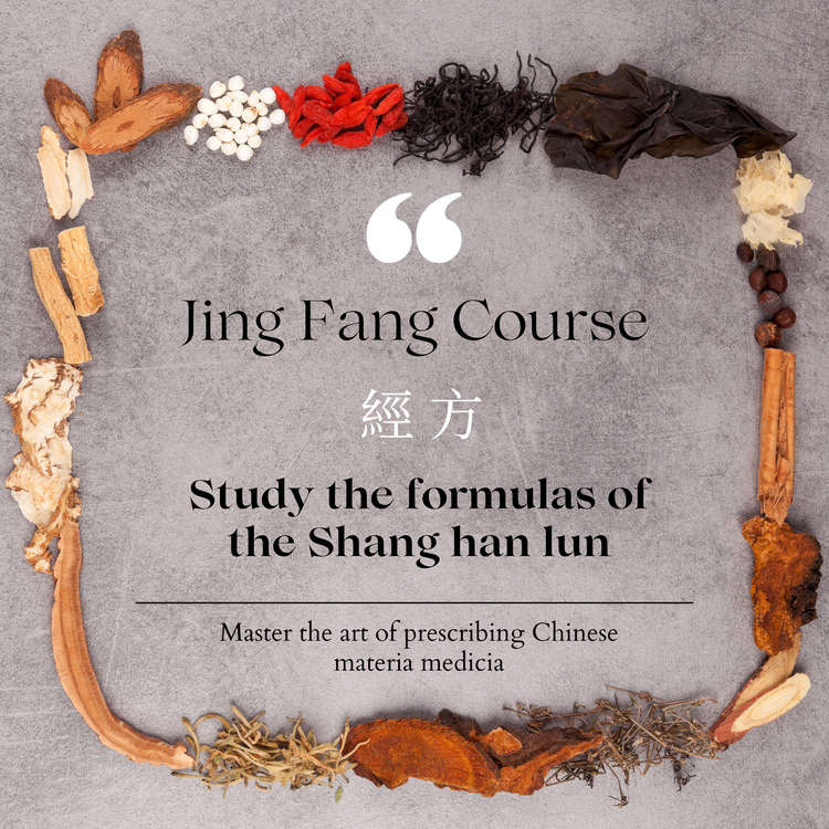 Jing Fang Course - Study Classical Chinese Herbal Medicine