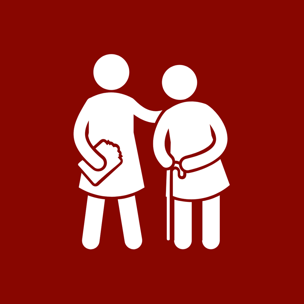 Jing Fang Course - Study Classical Chinese Herbal Medicine