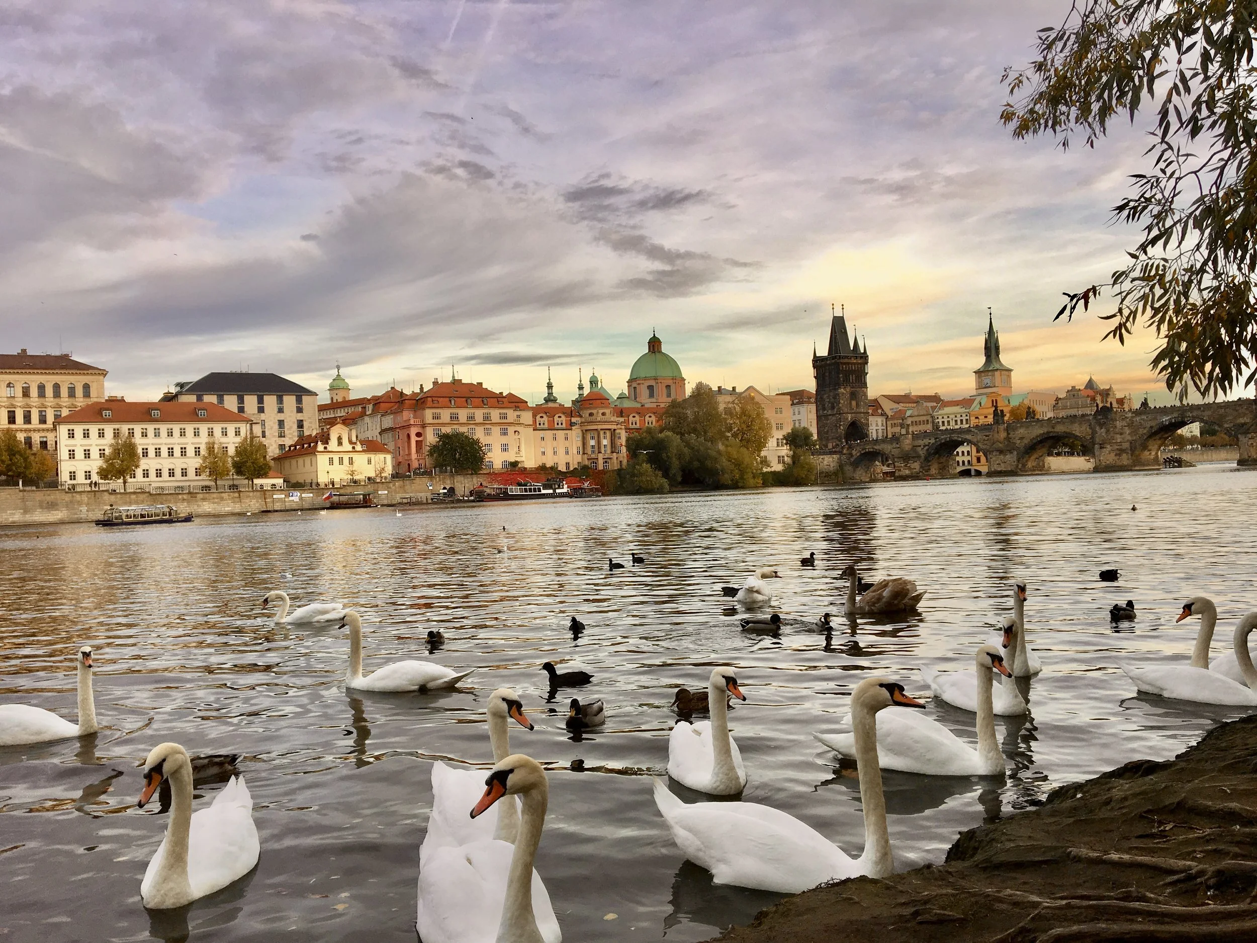 Top Things to Do in Prague for First-Time Visitors — The Scenic Route Traveler