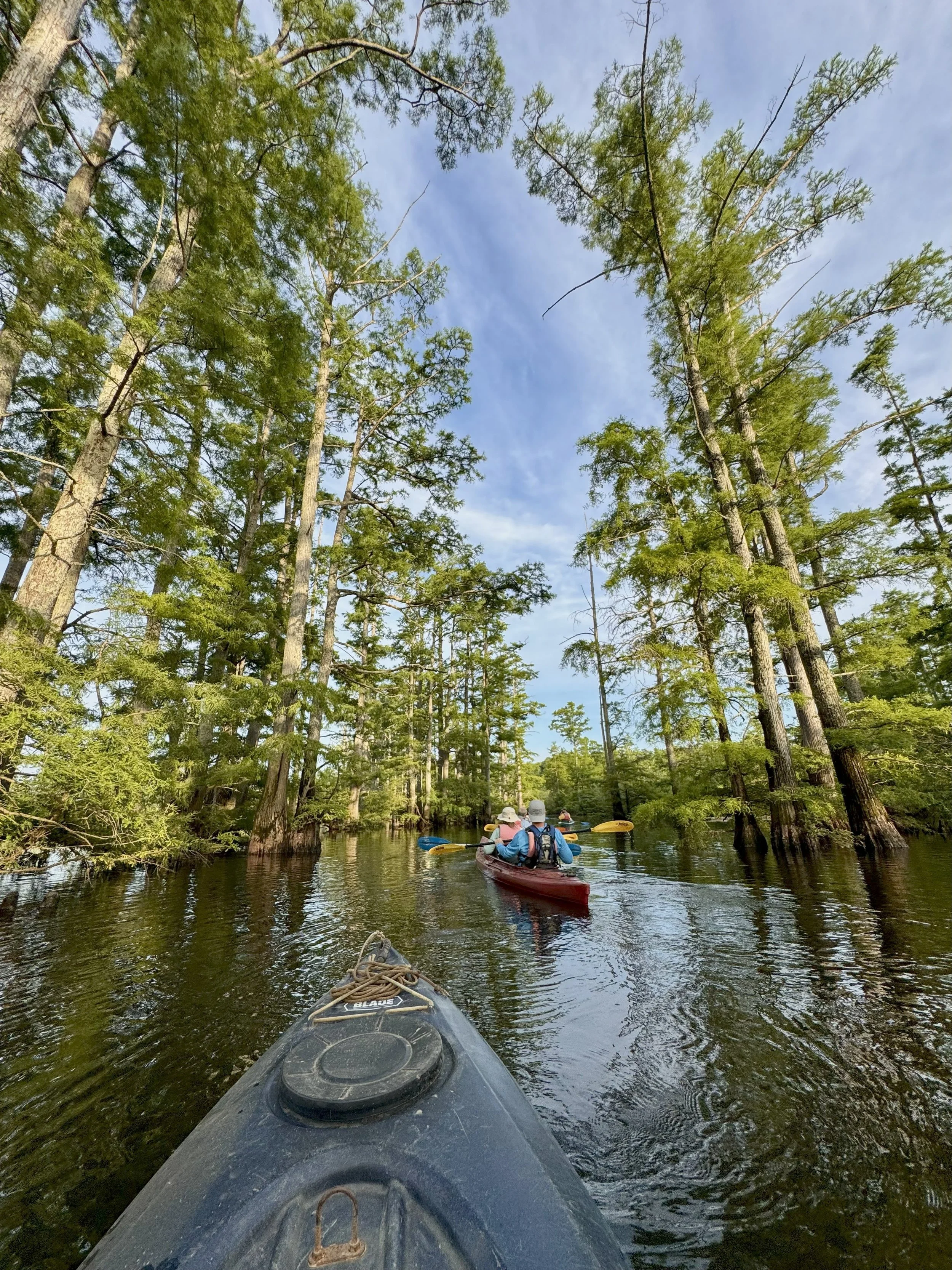 Best Midwest Getaways: Hidden Gems Worth the Drive — The Scenic Route ...