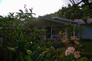 The Hidden Gem of Panama: Exploring Boquete's Natural Paradise — The ...