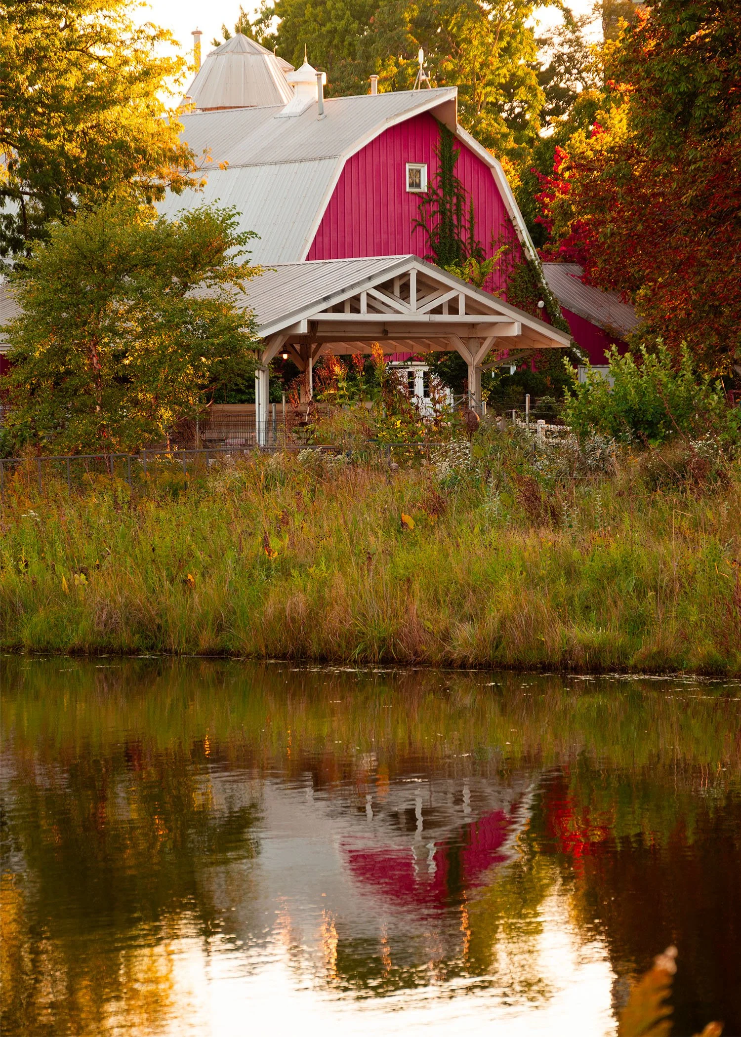 Fall in Love with Chicago: The Ultimate Autumn Guide to the Windy City ...