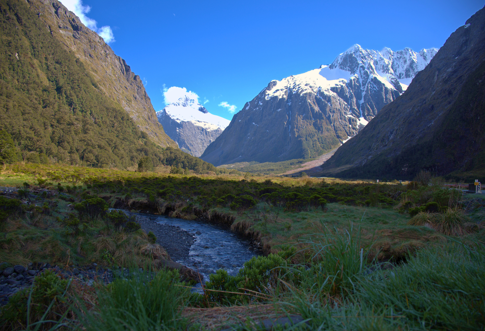 Milford Sound, New Zealand from A to Z: Your Essential Travel Companion ...