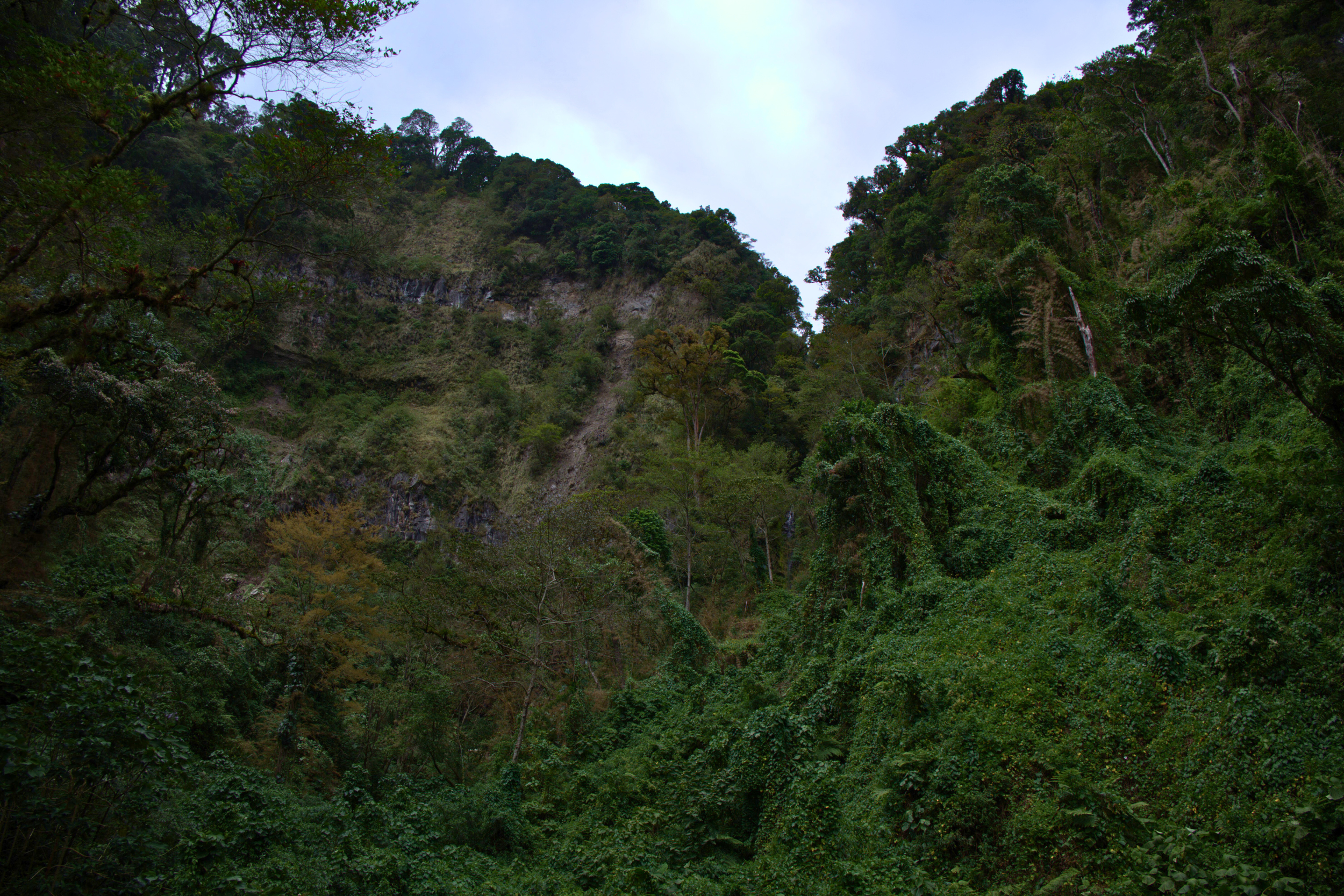 The Hidden Gem of Panama: Exploring Boquete's Natural Paradise — The ...