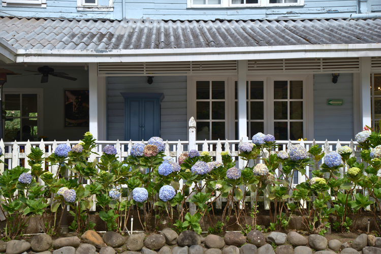 The Hidden Gem of Panama: Exploring Boquete's Natural Paradise — The ...