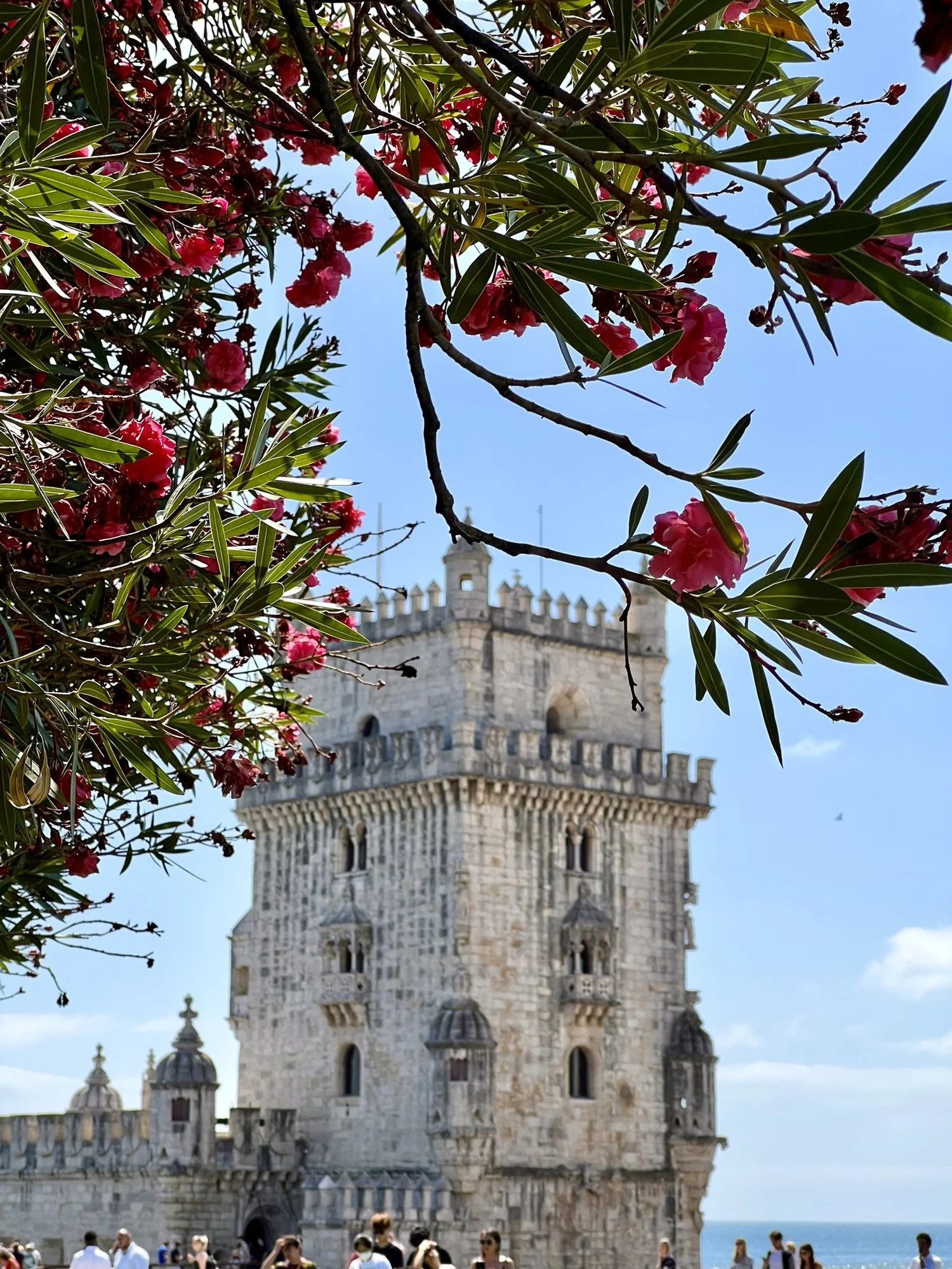 Lisbon, Portugal Travel Guide: What to See, Where to Stay, and What to ...