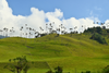 Top 10 Travel Destinations for 2025: Where to Go and What to Do — The ...
