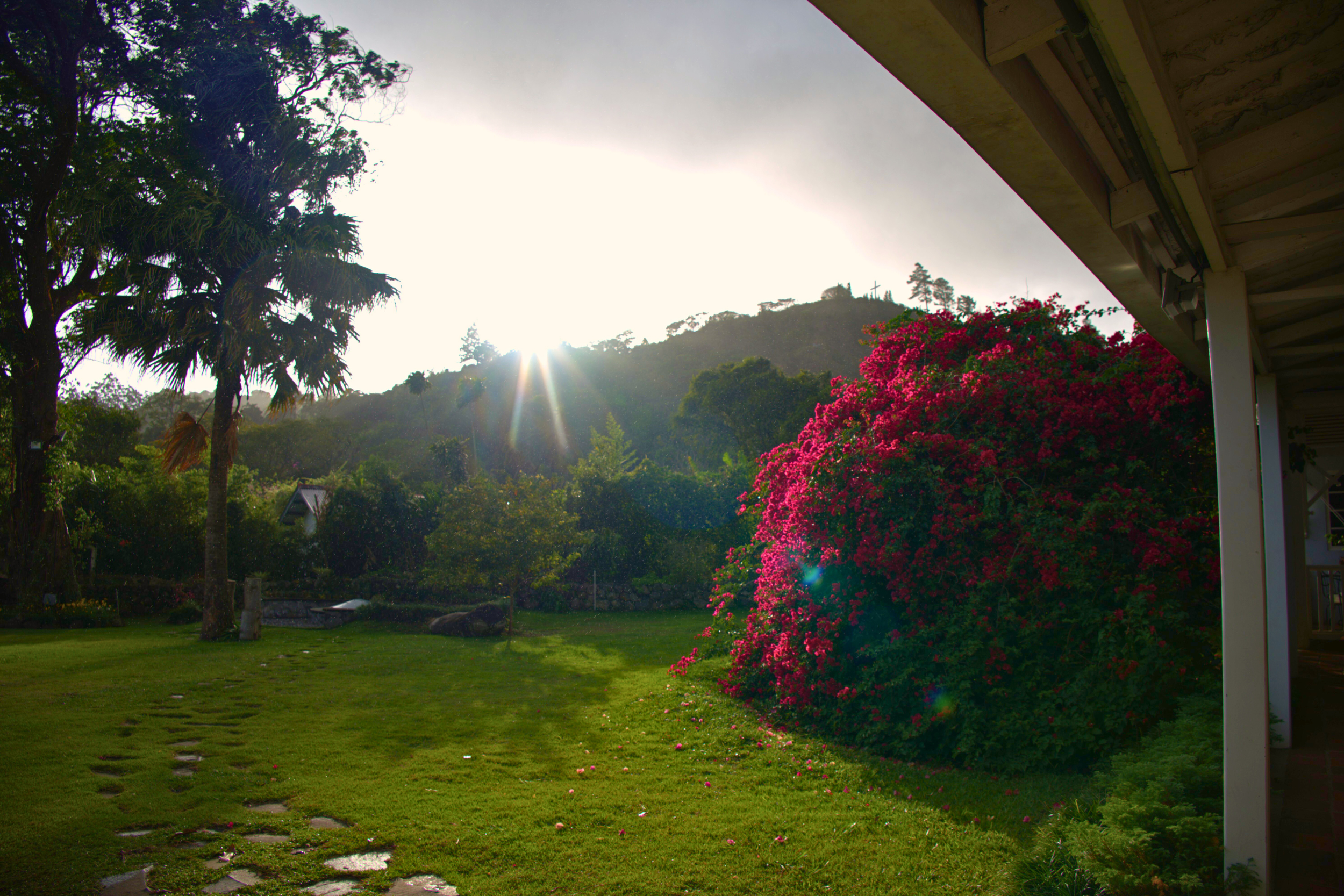 The Hidden Gem of Panama: Exploring Boquete's Natural Paradise — The ...