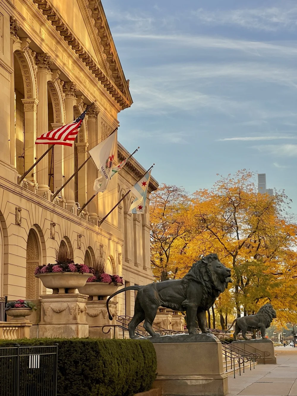 Fall in Love with Chicago: The Ultimate Autumn Guide to the Windy City ...