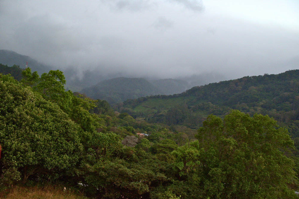 The Hidden Gem of Panama: Exploring Boquete's Natural Paradise — The ...