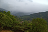 The Hidden Gem of Panama: Exploring Boquete's Natural Paradise — The ...