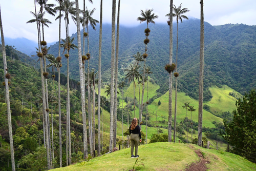 The Ultimate Guide to Solo Travel: Tips, Recommendations, and Insights ...