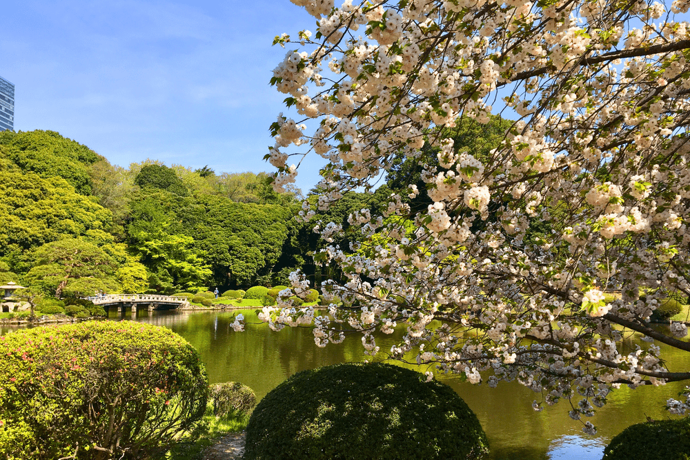 Top 10 Travel Destinations for 2025: Where to Go and What to Do — The ...