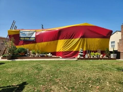 Magic Care Termite & Rattan Construction