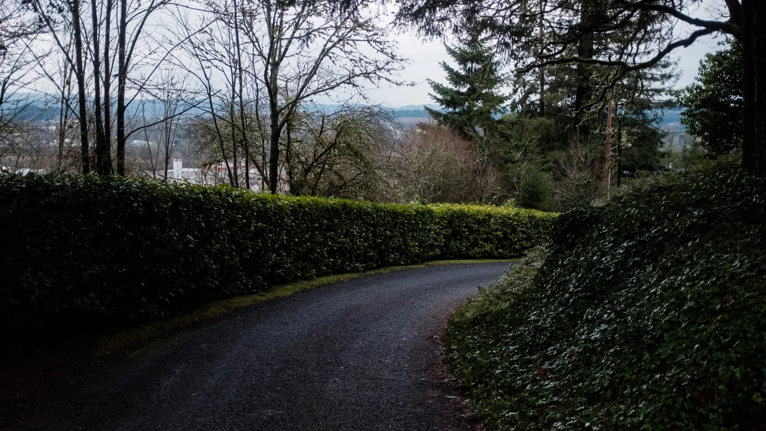 Practice the Way of Jesus — Bridgetown Church