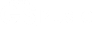 GS Music