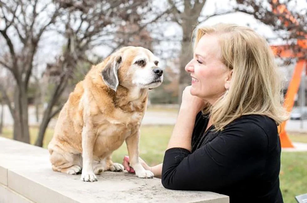 About 1 — Fix'em KC