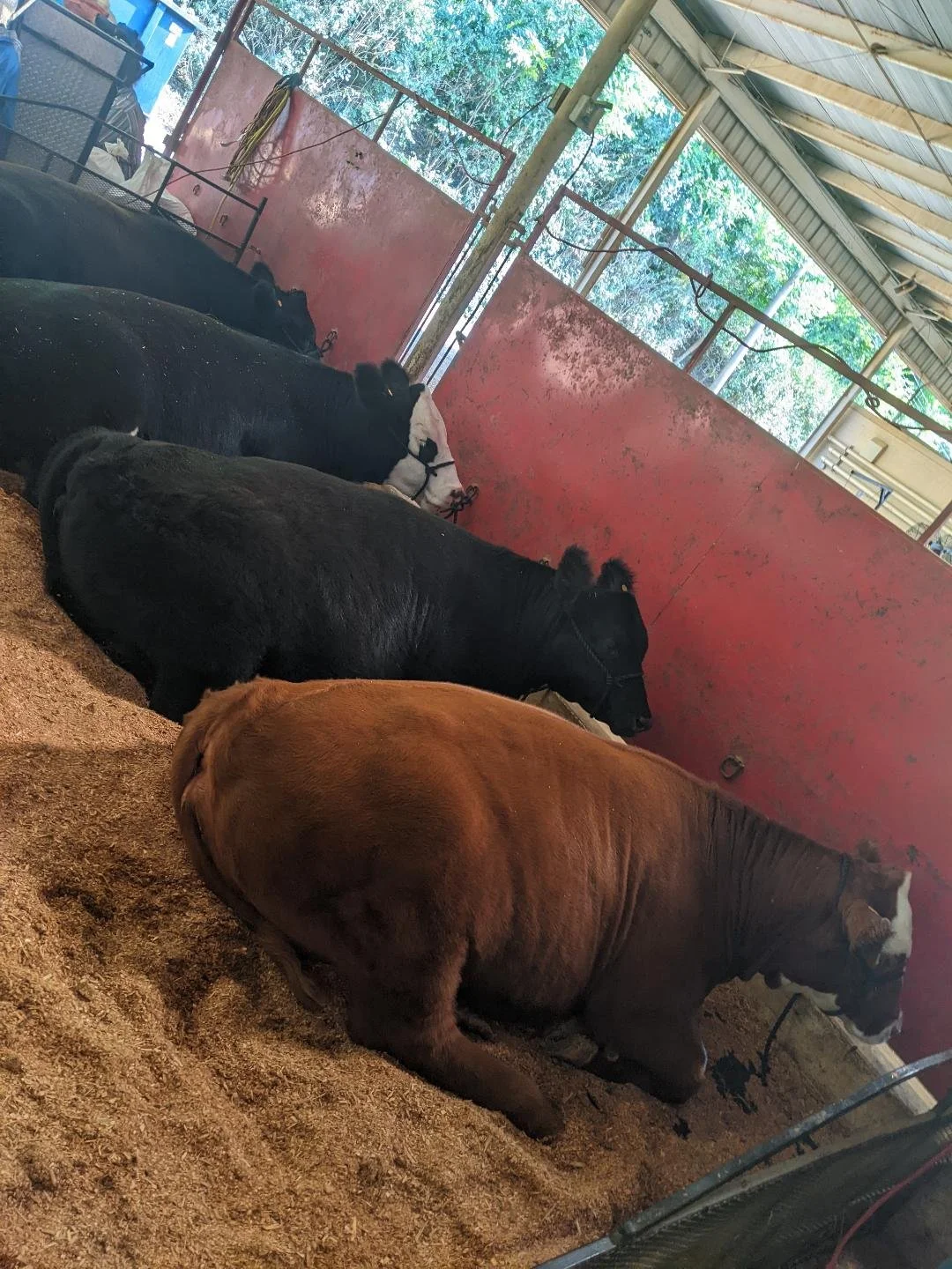 Our Story — Kinsey Martin